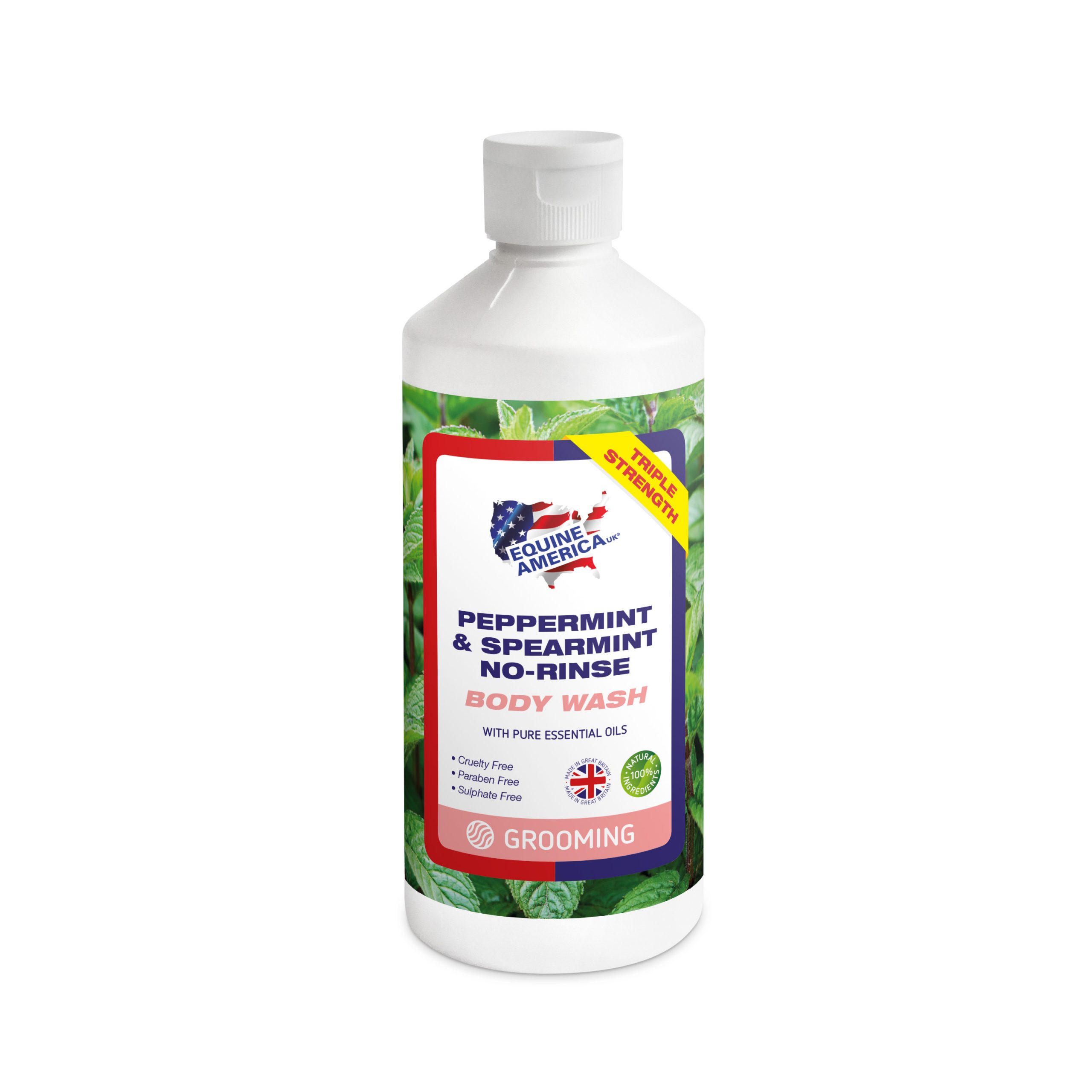 Peppermint & Spearmint No-rinse Body Wash - REC Equine